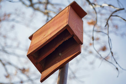 Magenta - Bat5 Bat Detector with Case and Guide – New Forest Bird Foods